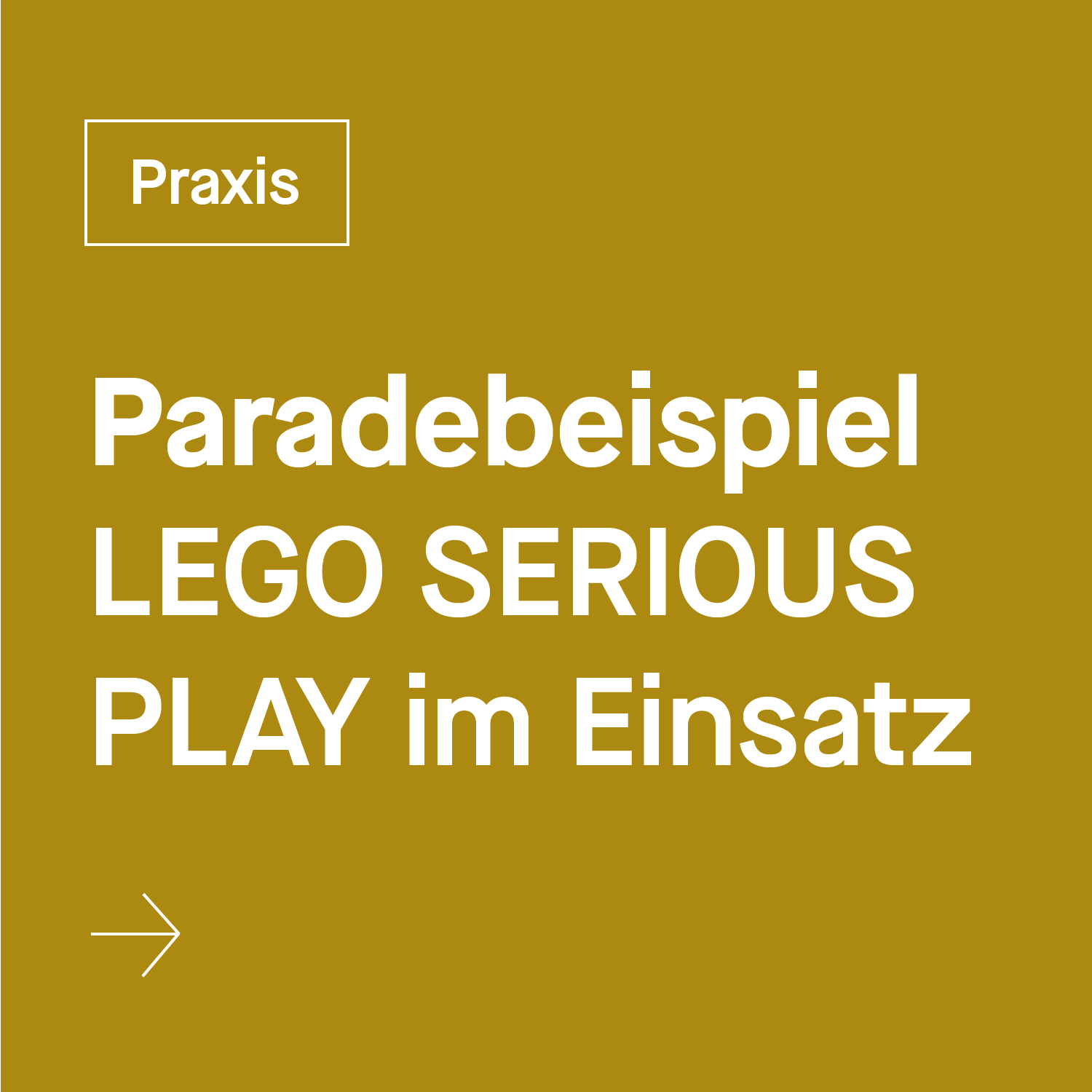 LEGO SERIOUS PLAY® Case Study – So funktioniert’s